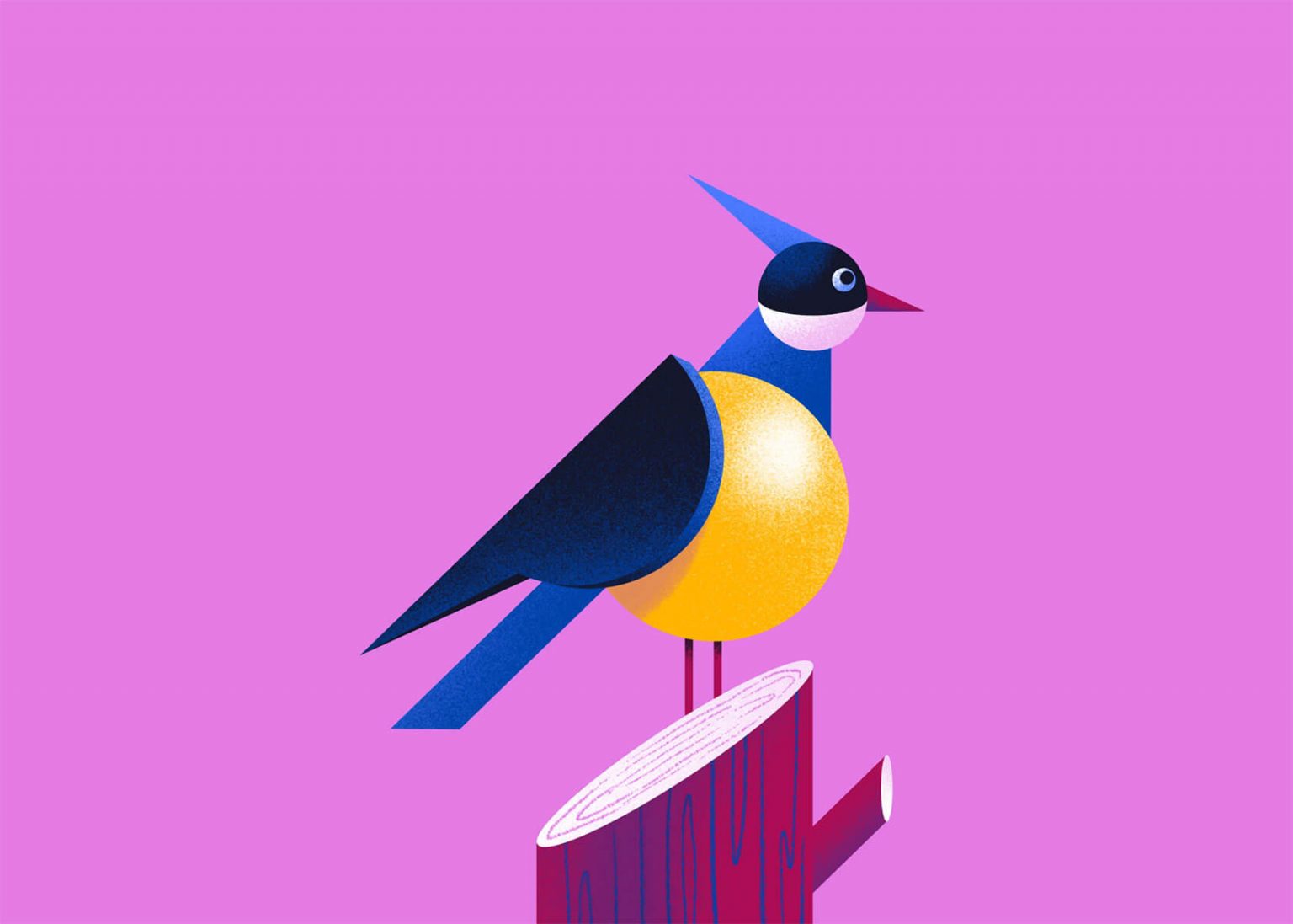 Playful Geometric Bird Illustrations by Bright Funk | Daily design ...
