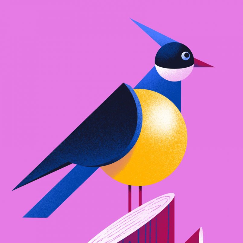 Playful Geometric Bird Illustrations by Bright Funk | Daily design ...