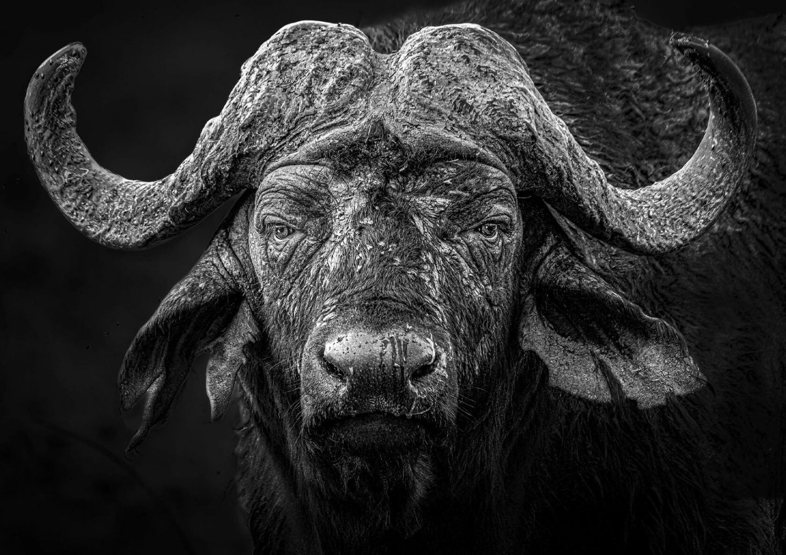 Search | Daily design inspiration for creatives | Inspiration Grid