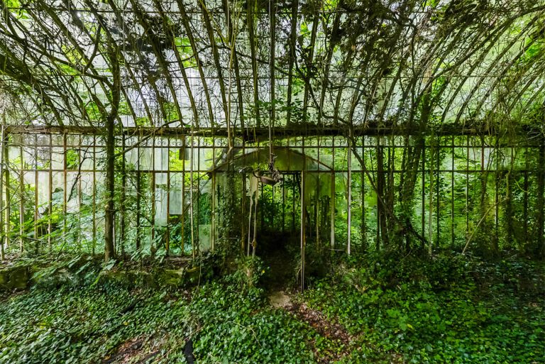 Secret Gardens: Romain Veillon’s Haunting Study of Decay & Renewal ...