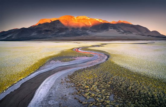 Salt & Silence: The Atacama Desert Through Karol Nienartowicz’s Lens ...